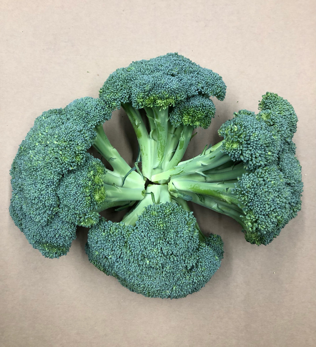 Broccoli Crowns ORGANIC 2 lbs – freshgreens family produce
